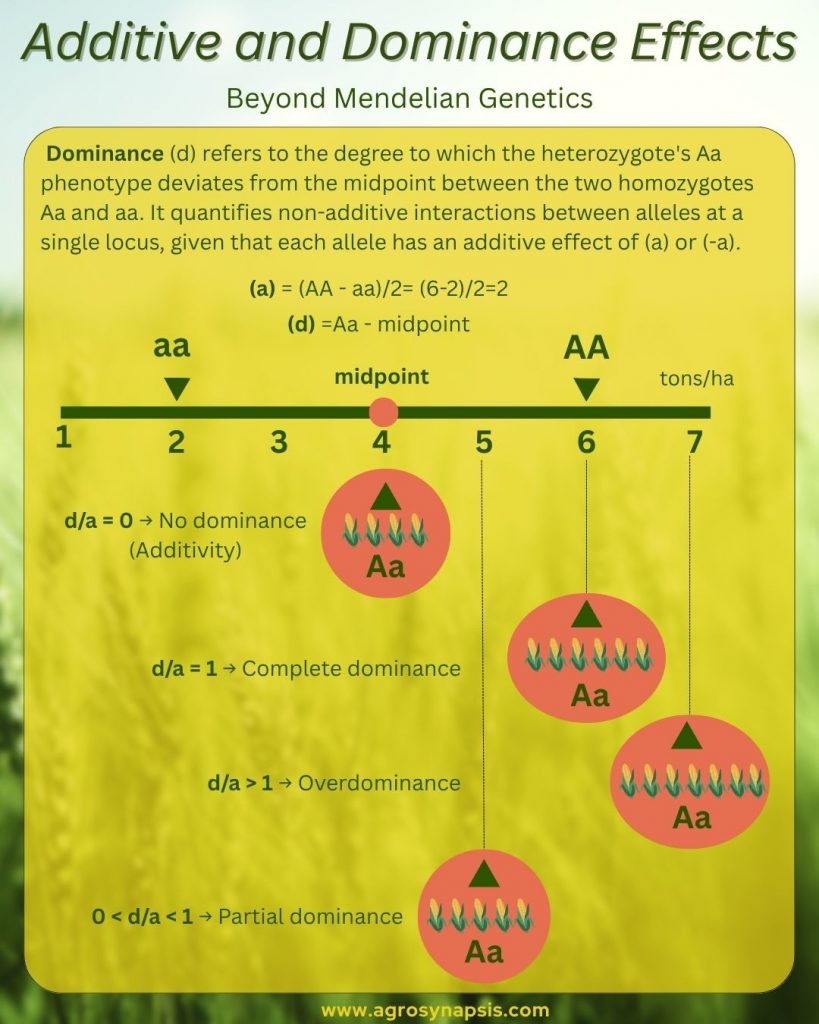 Additive and Dominance Effects – Beyond “Dominant” and “Recessive ...